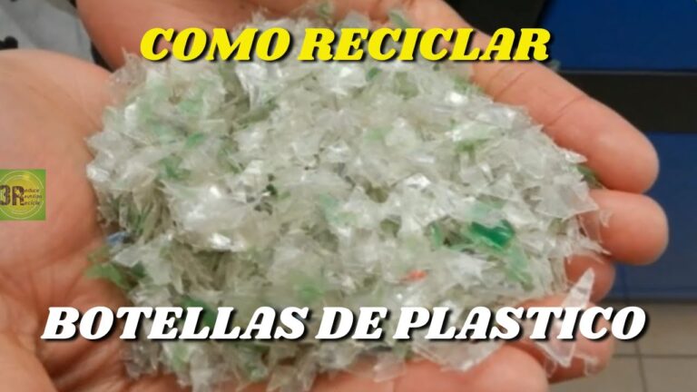 Composición de las botellas de plástico - Beatriz Arroyo