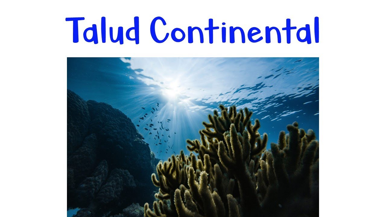 Descubriendo el talud continental: ¿sabes qué es? - Beatriz Arroyo