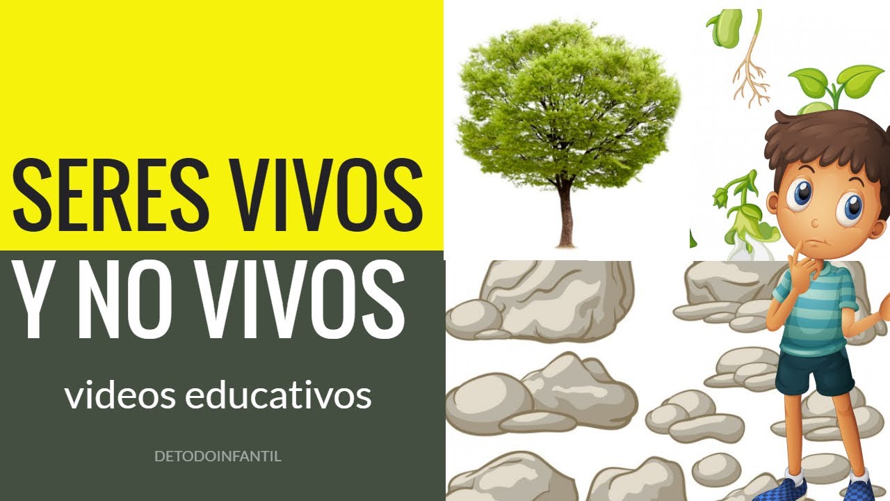 Seres vivos y no vivos: ¡Actividades educativas! - Beatriz Arroyo