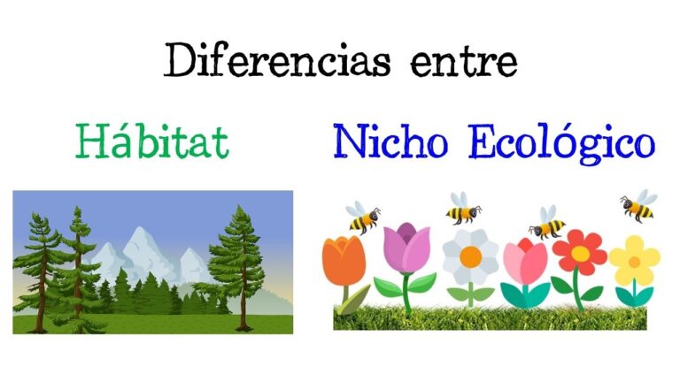 Aguilas: su hábitat y nicho ecológico - Beatriz Arroyo