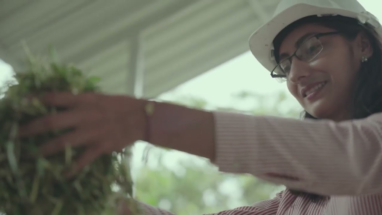 Aromáticas en Colombia: ¡descúbrelas! - Beatriz Arroyo