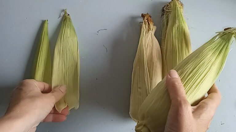 Decora un Papel Cascarón con Hojas de Colores: ¡Creatividad en Acción ...