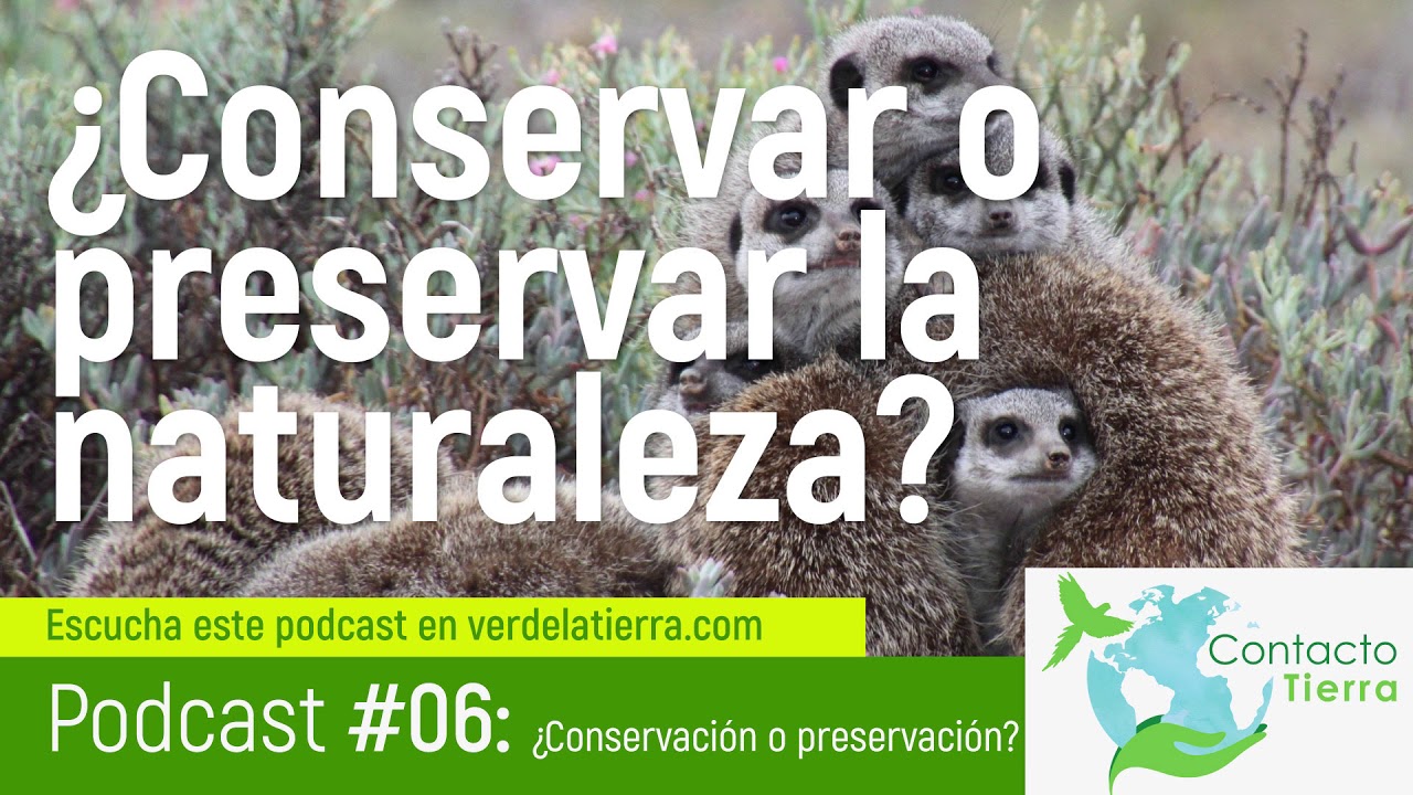 Diferencia entre conservar y preservar: ¿qué debes saber? - Beatriz Arroyo