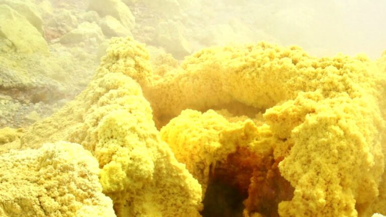 El azufre en los seres vivos: ¡importantísimo! - Beatriz Arroyo