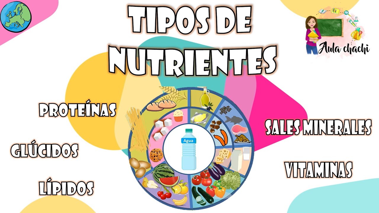 Tipos de nutrimentos esenciales: ¡Conócelos! - Beatriz Arroyo