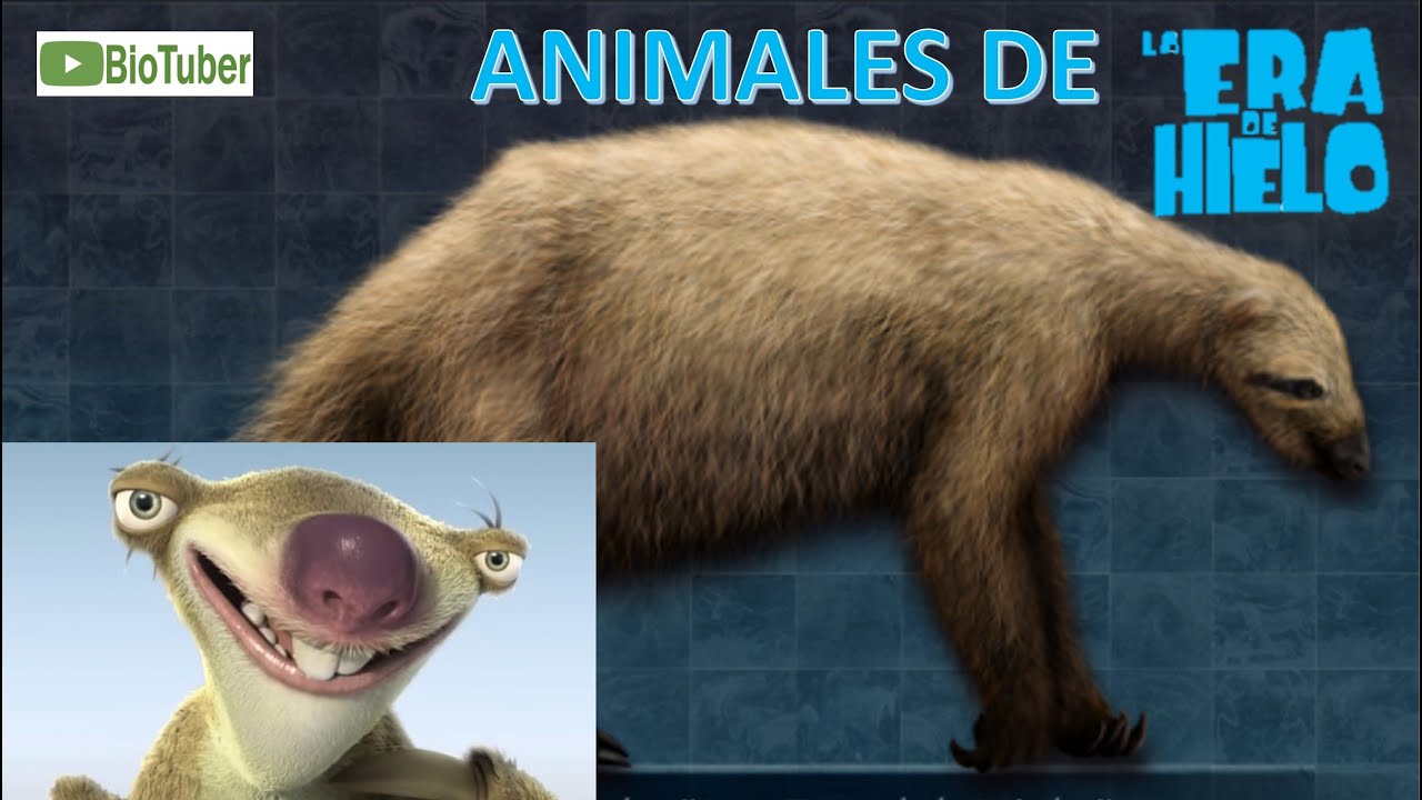 ¿Qué animal es Sid de La era del hielo? - Beatriz Arroyo