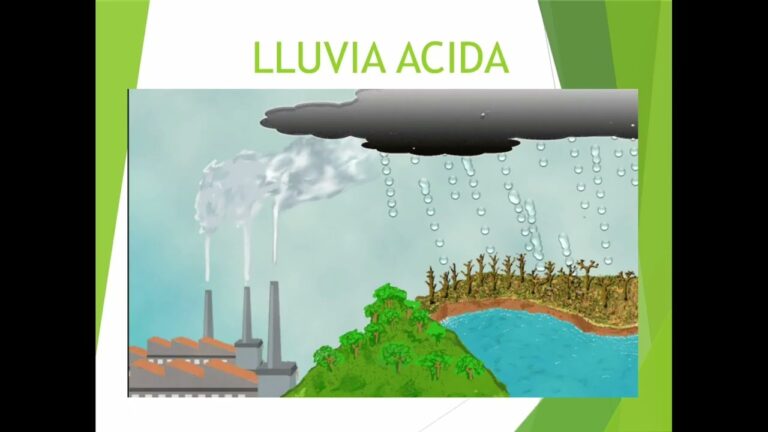 Método científico de la lluvia ácida - Beatriz Arroyo